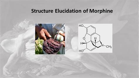 Morphine Structure 3d