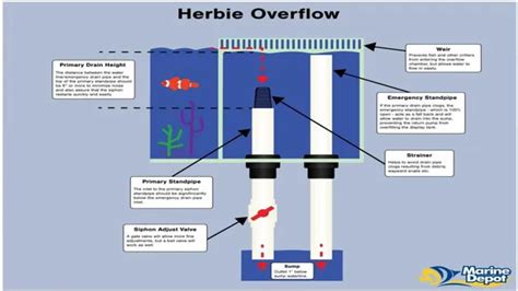 How To Drill And Setup An Overflow On An Aquarium Tips And Techniques