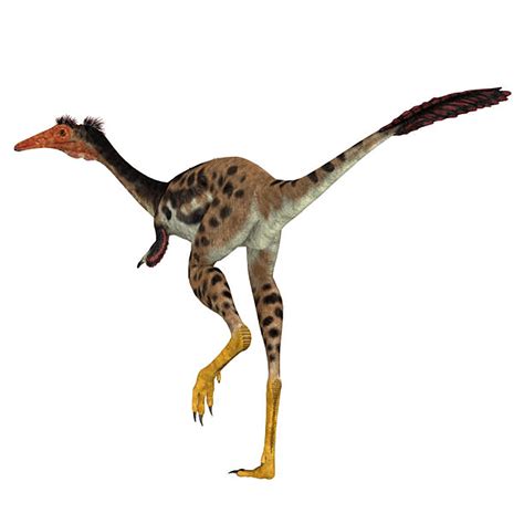 Mononykus Dino Encyclopedia