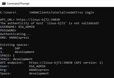 Create A Cloud Foundry Or Xs Advanced App That Queries Sap Hana Sap Tutorials