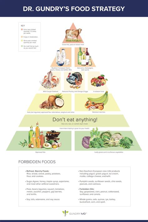 There Are Several Reasons The Old Dietary Rules” Just Dont Work