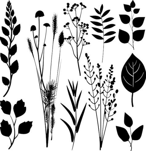 Premium Vector Leaf Silhouette Line Art Black And White Collection