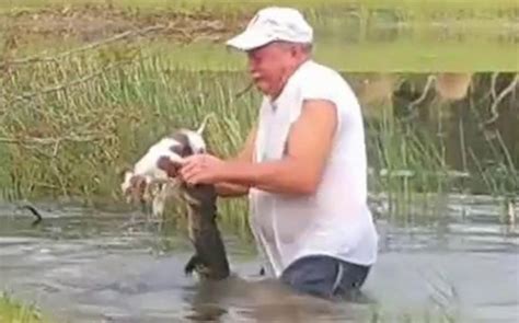 Florida Man Saves Dog From Alligator Smokes Cigar The Whole Time