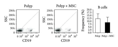 Bone Marrow Derived Mesenchymal Stem Cells Modulating The Polyp