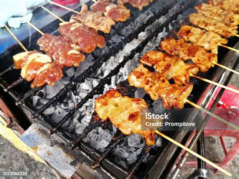 그릴에 숯불 구이 돼지고기 꼬치입니다 태국의 길거리 음식입니다 가지 식물 부위에 대한 스톡 사진 및 기타 이미지 가지 식물 부위 갈비 음식 끈적거리는 Istock