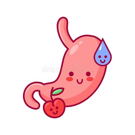 Stomach Cute Character In Kawaii Style Organ Of The Digestive System Healthy Eating Drinking