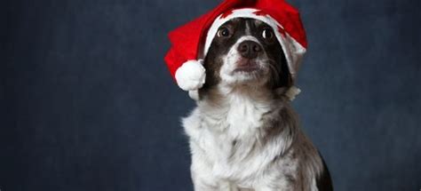 Find The Perfect Candles For Relaxation At Citta Candle Company