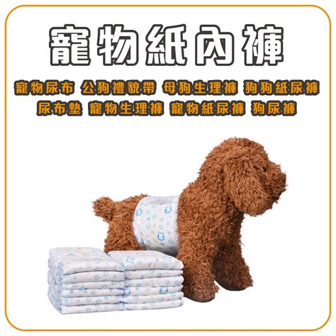 寵物尿布 公狗禮貌帶 母狗生理褲 狗狗紙尿褲 尿布墊 寵物生理褲 寵物紙尿褲 狗尿褲 蝦皮購物