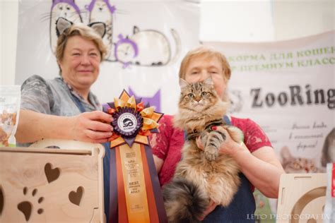 Wassa Galerie Sibirskiy Izumrud Sibirskiy Izumrud