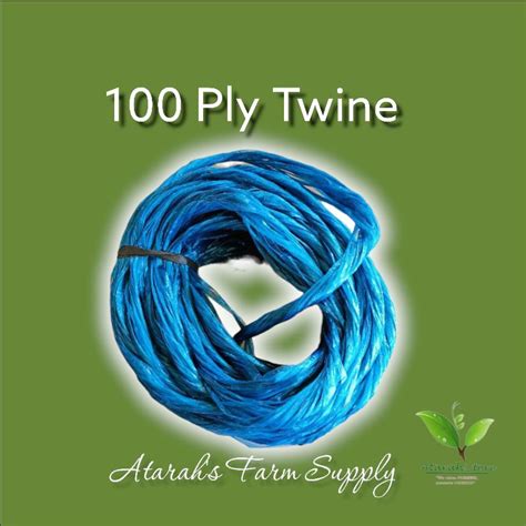 Cod 100 Ply Blue Sako Twine 1kg Pang Tali Sa Ampalaya At Kamatis