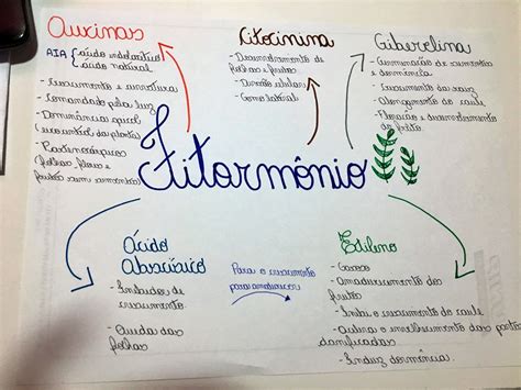Mapa Mental Sobre Horm Nios Vegetais Study Maps