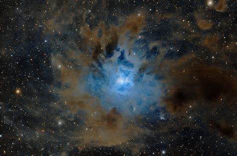 NGC 7023 Iris Nebula IdClimber Photo Gallery Cloudy Nights