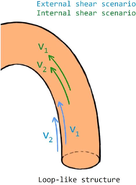 Schematic Showing The Internal And External Shear Scenarios Given In