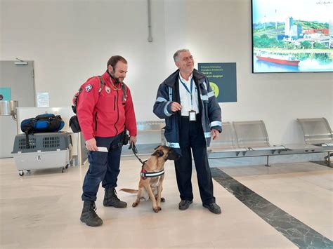 Τριάντα 30 εκπαιδευμένοι εθελοντές της Ελληνικής Ομάδας Διάσωσης από
