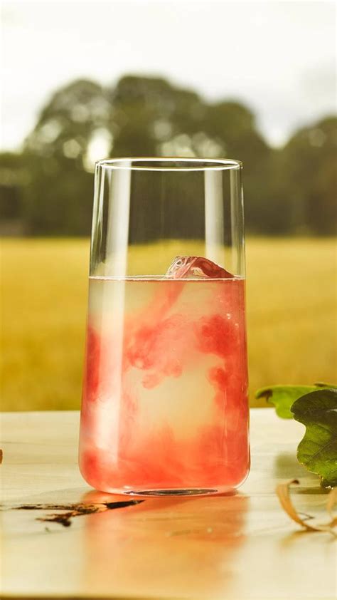 Ayla Cocktail Recipe The Macallan®