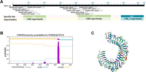 Comparative Transcriptome Analyses Of Immune Responses To Lps In