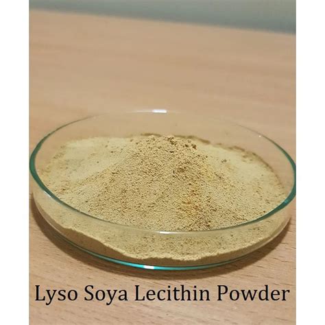 Amilife Soya Lyso Lecithin Powder 1 Kg At Rs 300 Kg In Barwani Id
