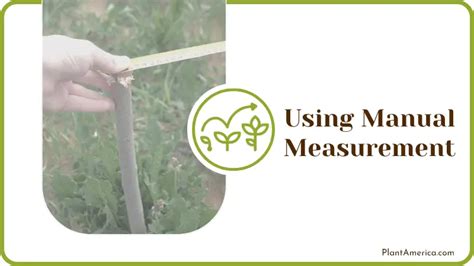 Simple And Easy Steps For Homeowners On How To Measure A Yard Plant America