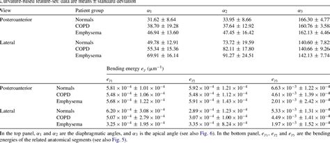 Table From Computer Aided Diagnosis Of Emphysema In Copd Patients