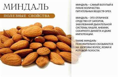Полезные свойства миндаля, состав, пищевая ценность, вред миндаля ...