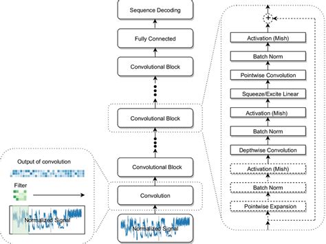 The Rodan Architecture The Normalized Signal Is Passed Through A Download Scientific Diagram