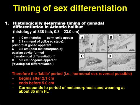 Ppt The Fundamentals Of Producing Monosex Fish For Aquaculture