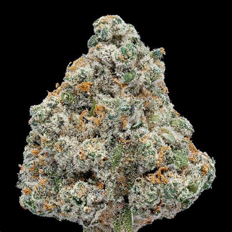 Scooby Snacks Thc Classic