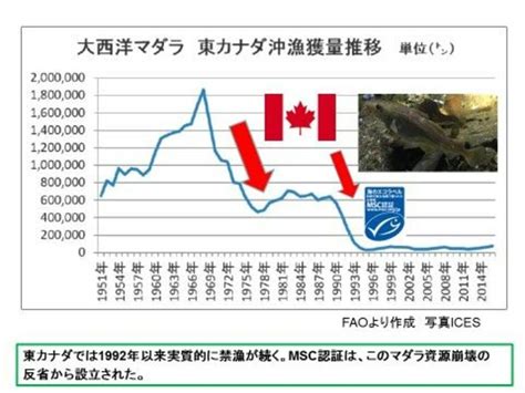｢魚が獲れない日本｣を外国のせいにする人の盲点 漁業の歴史を知らないから他国を非難してしまう 食品 東洋経済オンライン