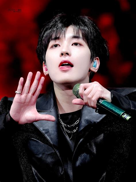 Won Woo Seventeen Wonwoo Meanie Pledis Entertainment South Korean Boy Band K Idols In A