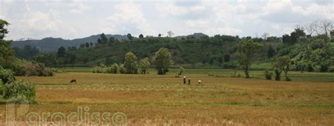 Binh Phuoc Luxury Travel Agents Tour Operators Companies