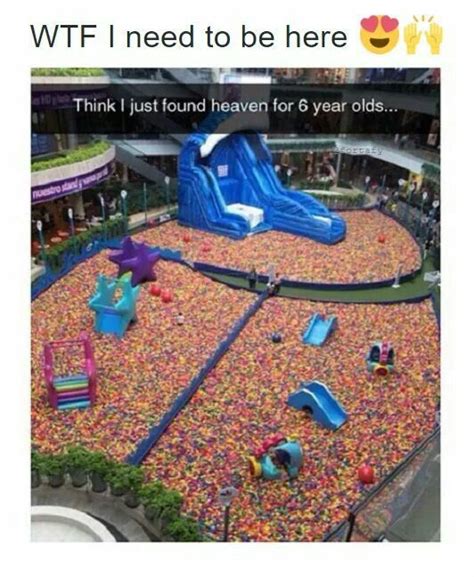 Pin By Nitza I Marin On Funny Board Funny Boards