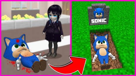 Sonİcİn BebeĞİ ÖldÜ 😱 Minecraft Zengİn Fakİr Hayati Youtube