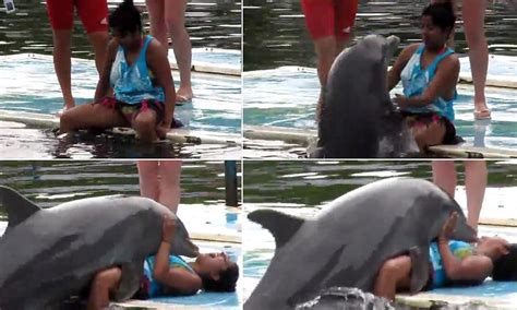 Caught On Video Hilarious Moment An Amorous Dolphin Leaped Out Of The