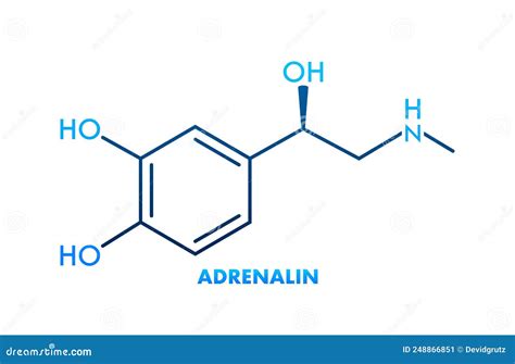 Adrenaline Or Adrenalin Epinephrine Neurotransmitter Molecule