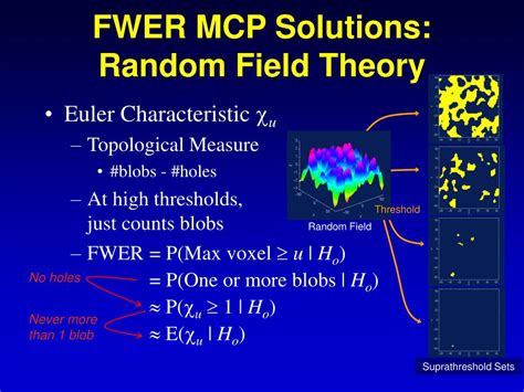 Ppt Parametric Thresholding Methods Random Field Theory And False Discovery Rate Powerpoint