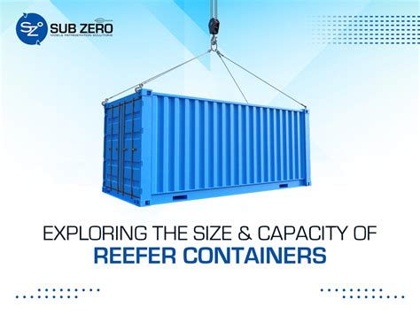 Exploring The Size And Capacity Of Reefer Containers