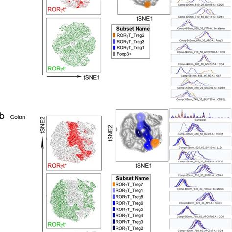 Tsne Projection Of Flow Cytometric Data Identifies Unique Populations