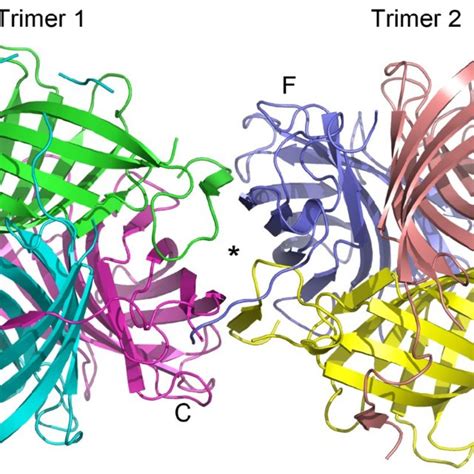 Pdf Pterocarpan Synthase Pts Structures Suggest A Common Quinone