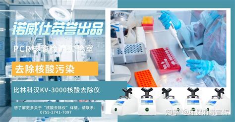 Pcr
