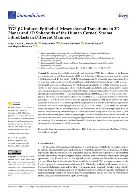 Pdf Tgf β2 Induces Epithelialmesenchymal Transitions In 2d Planer