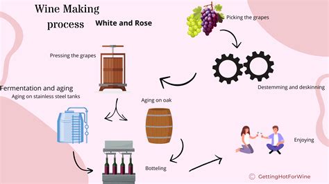 Winemaking Process Infographic White And Rose Gettinghotforwine