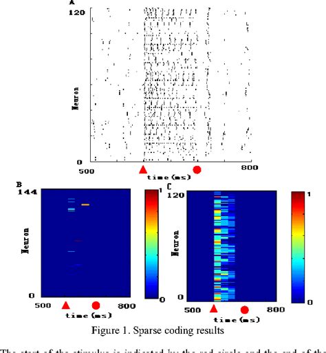 Figure From A Simulation Study On Neural Ensemble Sparse Coding Semantic Scholar