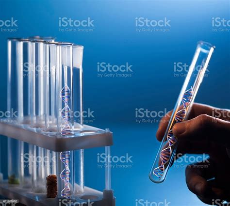과학자의 손에 유리 튜브의 Dna 분자 3차원 형태에 대한 스톡 사진 및 기타 이미지 3차원 형태 Dna 개발 Istock