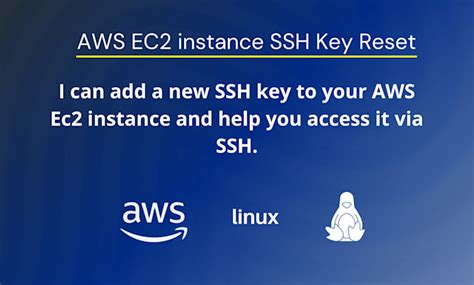 Reset Ec2 Instance Ssh Access By Imhimanshu41 Fiverr
