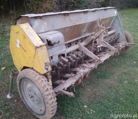 Poznaniak Fotka Polskiego Siewnika 763903 Galeria Rolnicza Agrofoto