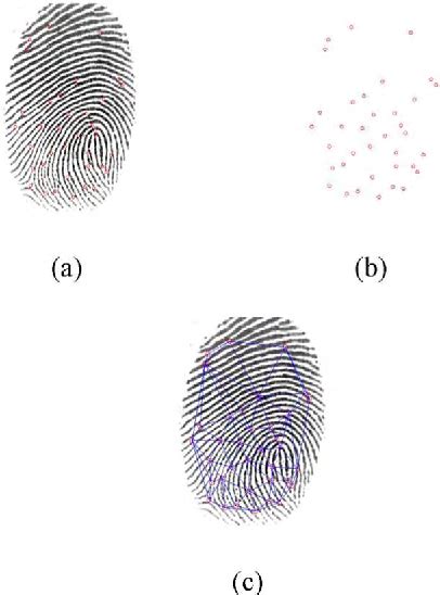 Figure 2 From A Novel Matching Technique For Fingerprint Recognition By Graphical Structures