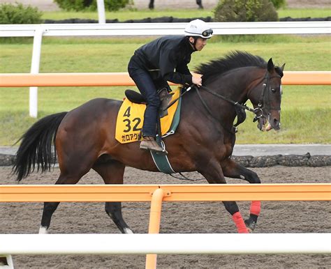 【エプソムc】ガロアクリーク 1年ぶり実戦で復活なるか 3冠皆勤の実績馬 競馬ニュース Netkeiba