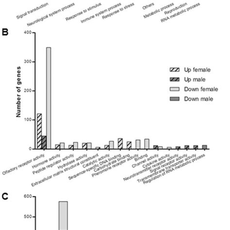 Biological Processes A Molecular Functions B And Cellular