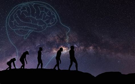 Gut Microbes May Have Shaped How Human Brains Evolved