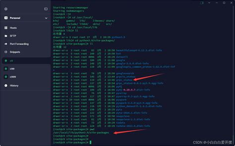 解决pyspark，spark Connect最后一道关grpcstatus Csdn博客